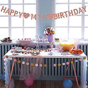 Rose Gold 14th Birthday Banner, Glitter Happy 14 Years Old Boy or Girl Party Decorations, Supplies