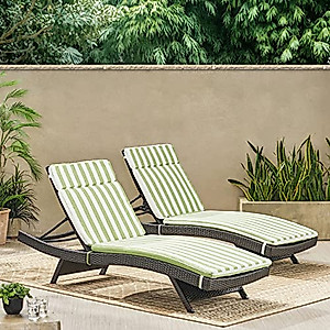 Christopher Knight Home Salem Outdoor Water Resistant Chaise Lounge Cushions, 2-Pcs Set, Green And White Stripe