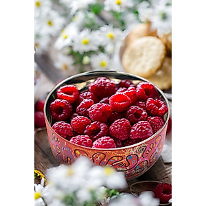 Boutiques Deco – 11 Oz Colorful Small Appetizer Crafted Bowls, for Snacks, Dips, Desserts, Ice Cream, Side Dishes, made of Stainless Steel with Double Wall Insulation – 4 Pack