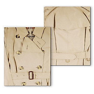 Burberry Fury, Alexander - Assouline Coffee Table Book