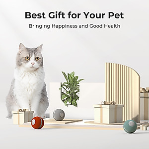 Cheerble Interactive Cat Ball Toy, Automatic Moving Ball Puzzle Toy for Indoor Cat Kitten, Smart Anti-Depression Pet Toy Fun Gift with Light (Green)
