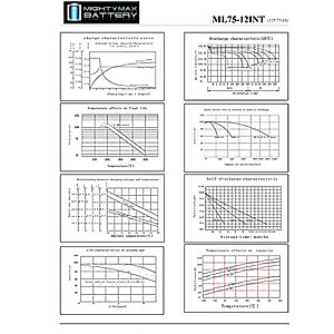 Mighty Max Battery ML75-12INT -12 Volt 75 AH, Internal Thread (INT) Terminal, Rechargeable SLA AGM Battery