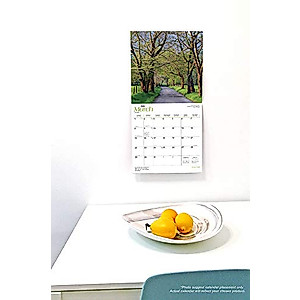 Shetland Sheepdogs 2020 12 x 12 Inch Monthly Square Wall Calendar, Animals Dog Breeds