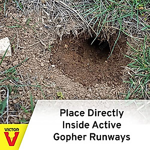Victor 0626 Black Box Gopher Trap - Gopher Traps - Gopher Trap