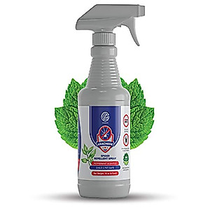 GERMOFIN - Natural Spider Repellent Peppermint Oil Spray - Spider Pest Control - Keeps Indoor & Outdoor Spiders Away- Safe for Pets & Family- House Essentials