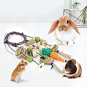 HOSFROLL Rabbit Toys, Bunny Chew Toys Cage Hanging Guinea Pig Toys Rattan Ring with 12Pcs Sticks Snacks for Rat Hamster