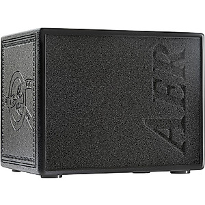 AER Tommy Emmanuel Signature Compact 60/3 60W 1x8 Acoustic Guitar Combo Amp