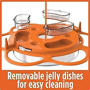 Nature's Way OFP1 All-in-One Oriole Buffet Bird Feeder, Orange