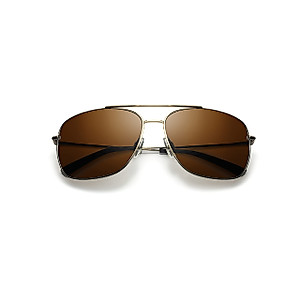 Revo Sunglasses Harbor: Polarized Lens Filters UV, Metal Navigator Frame, Gold Frame with Terra Lens