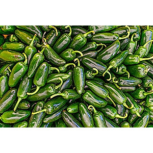 25+ Early Jalapeno Pepper Seeds, Heirloom, Country Creek LLC, Non-GMO, Spicy & Delicious