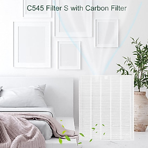 FFsign C545 True HEPA Replacement Filter S for Winix C545, 2 Pack H13 Grade 1712-0096-00 Filter S & 10 Pack Activated Carbon Filters