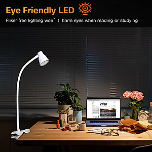 CeSunlight Clip on Reading Light, Clamp Lamp for Desk, 3000-6500K Adjustable Color Temperature, 6 Illumination Modes, 10 Led Beads(White)