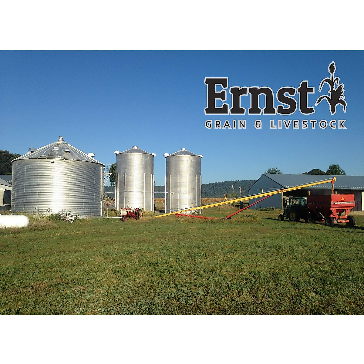 Homestead Harvest Ernst Grain Whole Corn – Perfect Feed for Deer, Squirrels, Chickens, Ducks, Rabbits, Geese, and More! (50 lb)