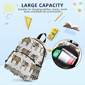 Selerdon Kid's Toddler Backpack Funny Cows School Bookbag for Boys Girls, Children Kindergarten Bag Preschool Nursery Travel Purse Bag