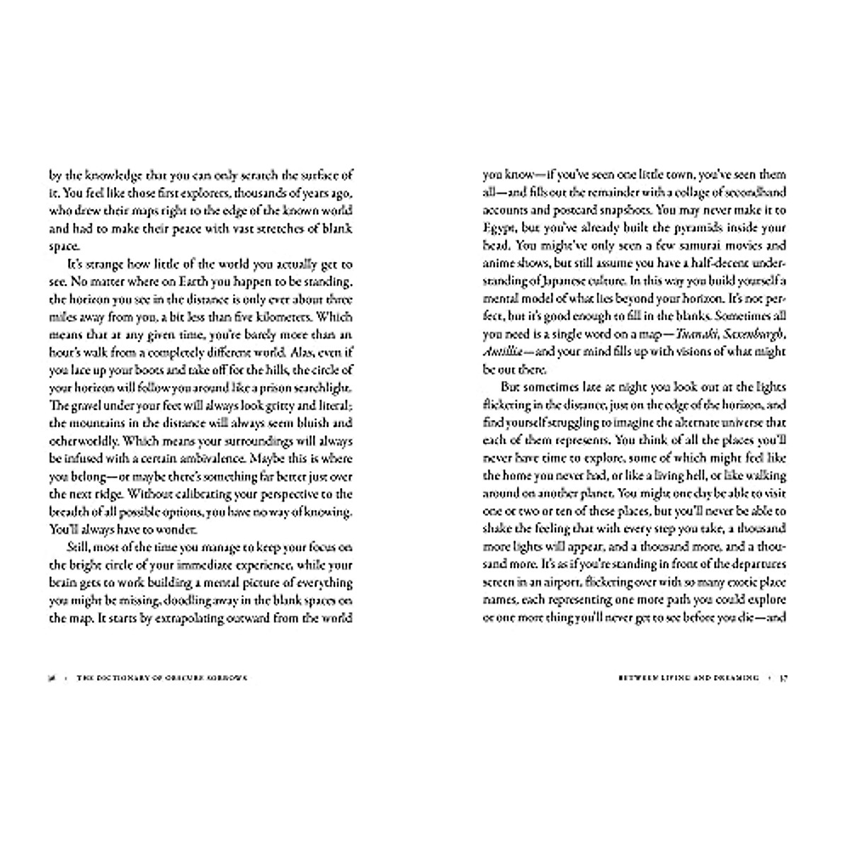 The Dictionary of Obscure Sorrows