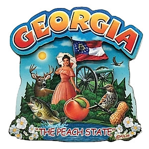 Georgia State Montage Wood Fridge Magnet 2