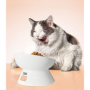 immaculife Ceramic Raised Cat Food Bowl, Slanted Cat Dish, Tilt Angle Protect Cat's Spine, Stress Free, Backflow Prevention