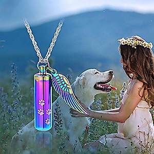 shajwo Cremation Jewelry Paw Print Urn Necklaces for Human Pet Ashes Cylinder Urn Pendant Keepsake Memorial Ash Locket Holder Necklace for Men Women,Rainbow