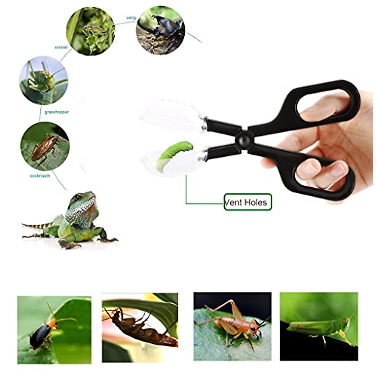 Reptile Feeding Bowl, 4pcs Leaf Reptile Water Food Feeder Bowl Worm Dish, Reptile Feeding Tongs Long Tweezers Cricket Clamp Bug Scooper Feeder Tool for Tortoise Snake Lizard Gecko Bearded Dragon