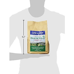 Organic Ocean KELP 5 LB