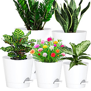 WOUSIWER Self Watering Planters 7/6.5/6/5.5/5 inch, Plant Pots with High Drainage Holes and Reservoir for Indoor Outdoor WindowSill Flowers and Plants, White