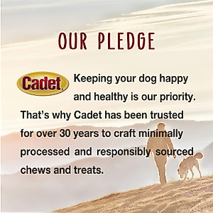 Cadet Junior Stuffed Shin Bones - Highly Digestible, High Protein, Long-Lasting Dog Chew Bone for Aggressive Chewers, Supports Dental Health, - Peanut Butter Flavor, Mini (2 Count)