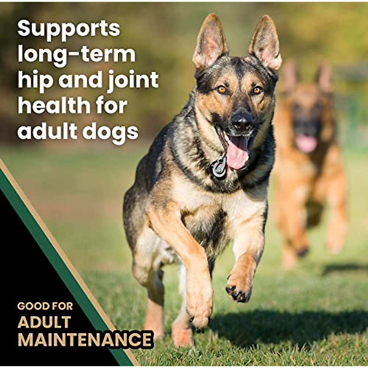 Victor Super Premium Dog Food – Purpose - Grain Free Hero Canine – Premium Gluten Free Dog Food for Active Adult Dogs – High Protein with Glucosamine and Chondroitin for Hip and Joint Health, 30lbs