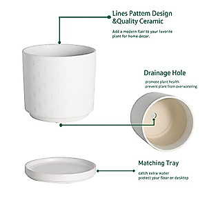 Tagobar Planter Plant Pot - 6 Inch Indoor Pots for Plant Lines Pattern Ceramic White Flower Pot with Drainage Holes & Tray (Plant Not Incolued)