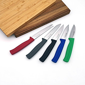 Paring Knife - MATTSTONE HILL 3.5 Inch Paring Knife, Small Kitchen Utility Knife, Premium Stainless Steel Vegetable Knife, Bule Handle