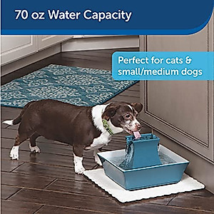 Drinkwell Pagoda Pet Fountain - From PetSafe in Knoxville, TN - Dog Water Bowl Dispenser - Multiple Angles to Drink From - Filters Included - Dog Fountain Provides Water When Power’s Out - Blue