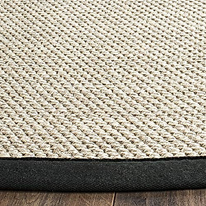 SAFAVIEH Natural Fiber Collection 8' x 10' Marble / Beige NF143C Border Sisal Area Rug
