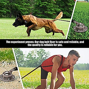 Anipaw 360° Swivel Dog Tie Out Stake, Heavy Stainless Steel Dog Anchor, Yard Stake Rust Proof Dog Tether Hold, 1500 Lbs of Pull Force, Great for Outside Yard Camping Lawn, Suit for Any Kind of Breeds