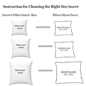 Pack of 4 20x20 Pal Fabric Soft Cotton Feel Microfiber Square Pillow Insert for Sham or Decorative Pillow Made in USA (20x20)