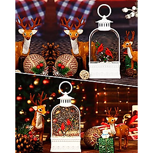 Christmas Cardinal Snow Globes,Musical Lighted with 6H Timer Swirling Glitter, Christmas Decoration Snow Globe Lantern, Red Bird Cardinal Gifts Christmas Decoration Indoor for Home