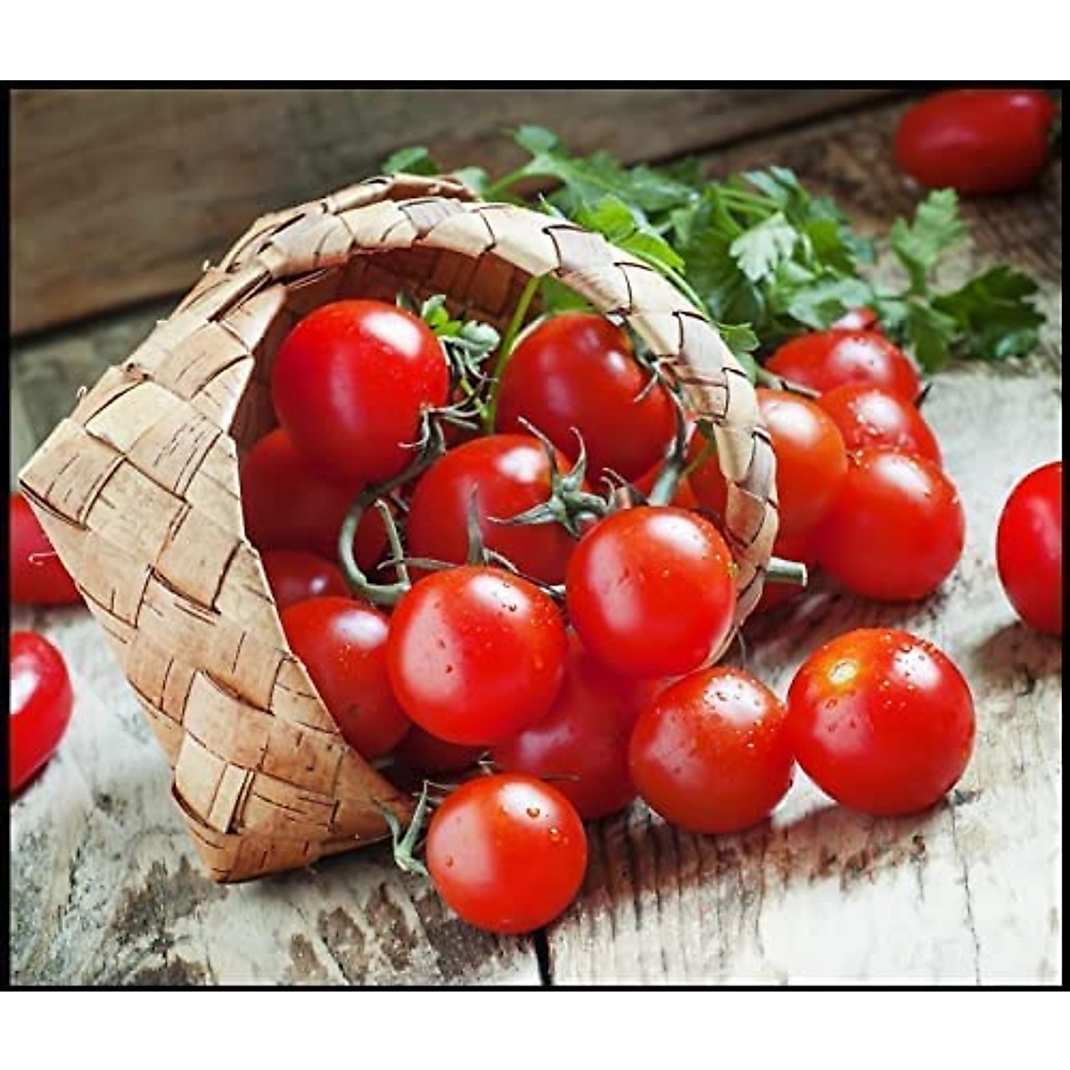 Dwarf Cherry Tomato Bush Seeds | 100+ Seeds | Grow Your Own Food | Good Yield of Delicious Cherry Tomatos