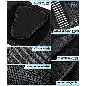 Sparthos Back Support Belt [Size Small] x Ice Packs for Injuries [Size Med]