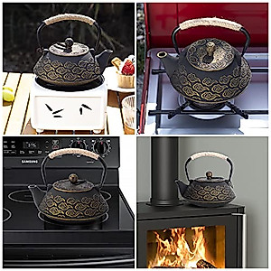 MILVBUSISS Cast Iron Teapot, Japanese Tea Pot with Infuser for Loose Leaf, Tea Kettle Stovetop Safe Coated with Enameled Interior, Clouds Pattern 27oz, 800ml Black