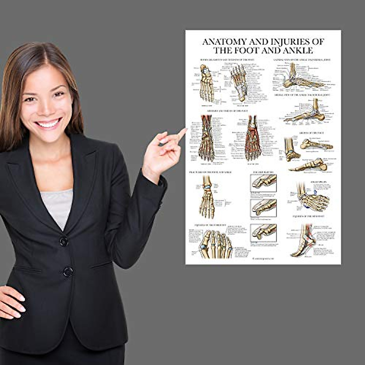 Palace Learning Laminated Anatomy and Injuries of the Foot and Ankle Poster - Anatomical Chart of Foot and Ankle Joint - 18" x 24"