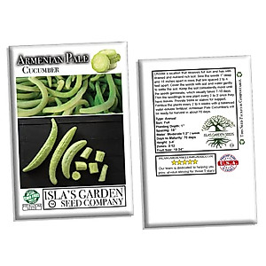 Armenian Pale Green Cucumber Seeds for Planting, 100+ Heirloom Seeds Per Packet, (Isla's Garden Seeds), Non GMO Seeds, Botanical Name: Cucumis sativus, Great Home Garden Gift