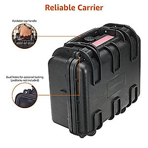 Amazon Basics Small Hard Camera Carrying Case - 12 x 11 x 6 Inches, Black