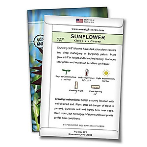 Sow Right Seeds - Chocolate Cherry Sunflower Seeds for Planting - Non-GMO Heirloom Packets with Instructions to Plant a Home Vegetable Garden (4)
