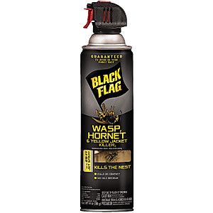 Black Flag Wasp, Hornet, and Yellow Jacket Insect Killer