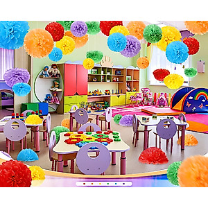 Estune 48 Pcs Tissue Paper Pom Poms 14''/ 12''/ 10''/ 8''/ 6'' Tissue Paper Flowers Decorations for Wedding Birthday Bridal Shower Baby Shower Decor (Rainbow)