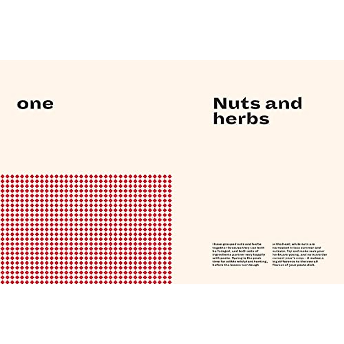 Pasta Grannies: The Official Cookbook: The Secrets of Italy's Best Home Cooks