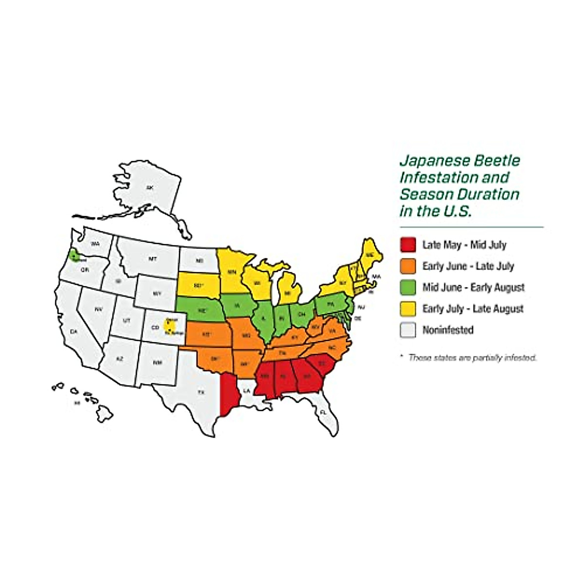 RESCUE! Japanese Beetle Trap – Reusable Bag - 2 Traps