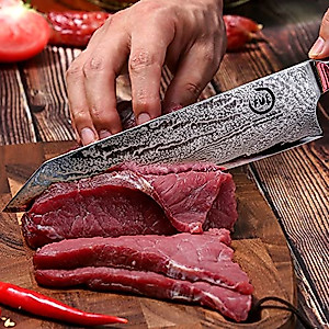 Japanese Chef Knife, Fukep Chef Knife Ultra Sharp AUS10 Core Steel 72 Layers High Carbon Steel Damascus Chef Knife Ergonomic Mahogany Handle Kitchen Knife Chef Gift