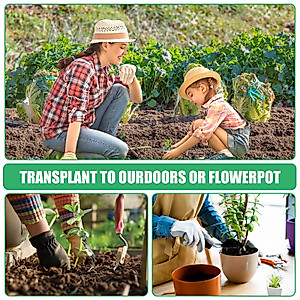 125pcs Hydroponic Seed Pods Kit, Grow Anything Kit Compatible with Hydroponics Supplies from All Brands, Hydroponic Indoor Garden Accessories with 50 Grow Sponges, 50 Pod Labels for Growing System