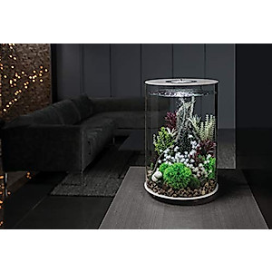 biOrb Seapearls & Kelp Medium Olive Green