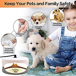 Aspectek Sticky Dome Flea Trap with 2 Sticky Discs. Odorless Insect Traps, Effective for Indoor Use - 2 Pack