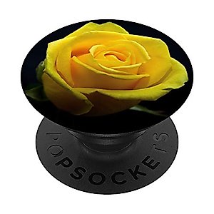 Single Yellow Rose Flower Floral Scene On Black Background PopSockets PopGrip: Swappable Grip for Phones & Tablets